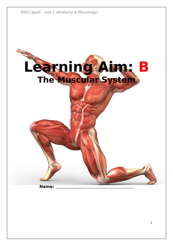 BTEC Sport - Unit 1 LAB Muscular System Workbook | Teaching Resources