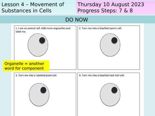 Year 7 Science - Cells - L4. Diffusion | Teaching Resources