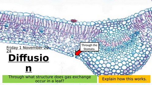 4.2 Diffusion | Teaching Resources