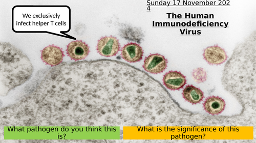 5.7 The Human Immunodeficiency Virus | Teaching Resources