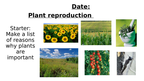 Plant reproduction | Teaching Resources
