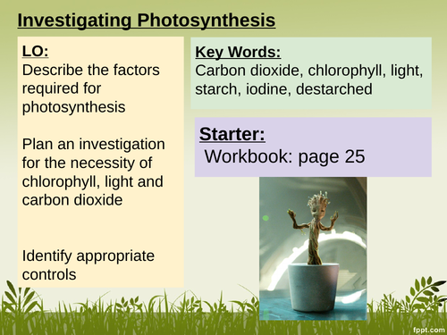 Photosynthesis limiting factors | Teaching Resources