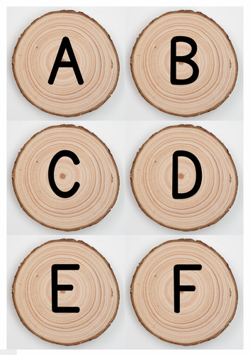 Uppercase alphabet display on wooden log slices | Teaching Resources