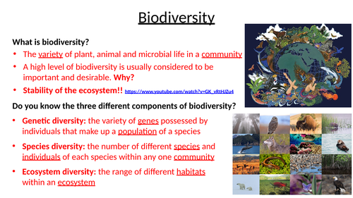 A-Level AQA Biology - Calculating Biodiversity | Teaching Resources