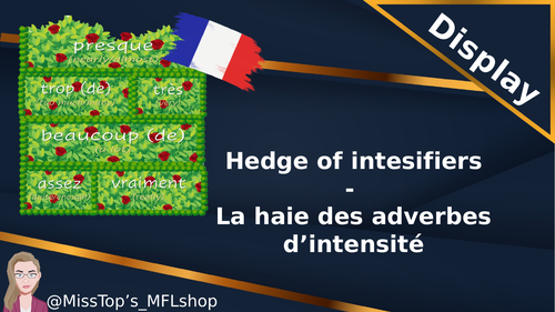 French Hedge of Intensifiers - Display | Teaching Resources