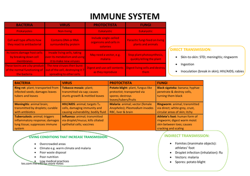 Immune system | Teaching Resources