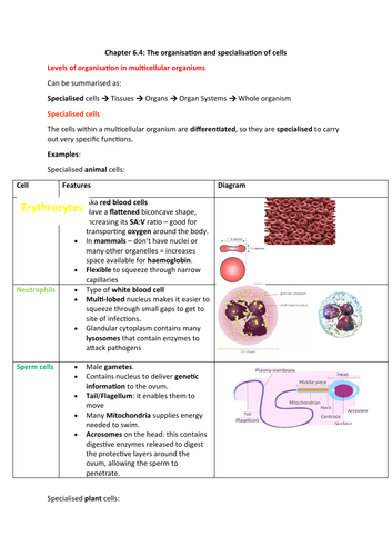 Notes for B6.4 OCR A Level | Teaching Resources