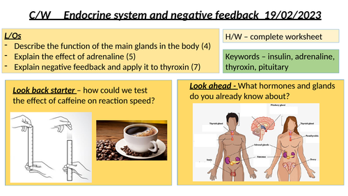 Endocrine system and negative feedback GCSE BIO | Teaching Resources