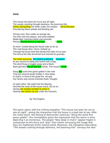Teaching Resource English Literature GCSE Ted Hughes "WIND" | Teaching ...