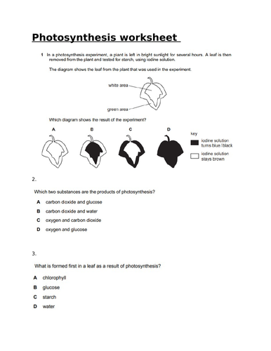 Photosynthesis worksheet | Teaching Resources