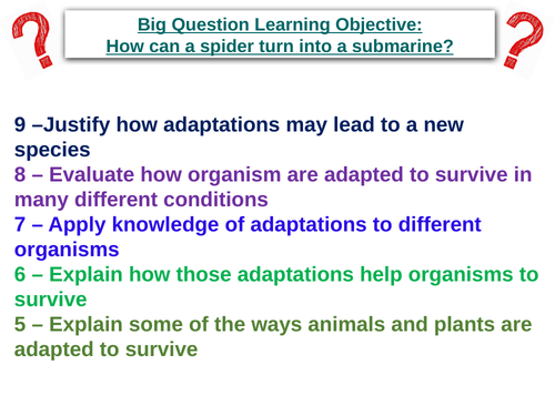 Adaptations in plants and animals. AQA GCSE Science Biology Topic 7: Ecology. | Teaching Resources