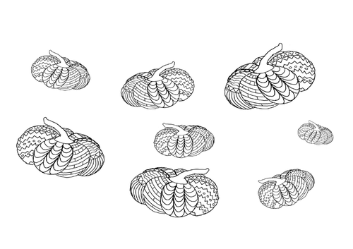 PUMPKIN MINDFULNESS COLOURING | Teaching Resources