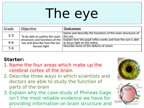 OCR GCSE (9-1) Biology - The Eye | Teaching Resources