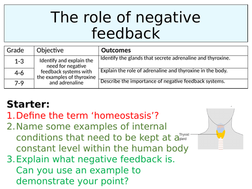 OCR GCSE (9-1) Biology - The role of negative feedback | Teaching Resources