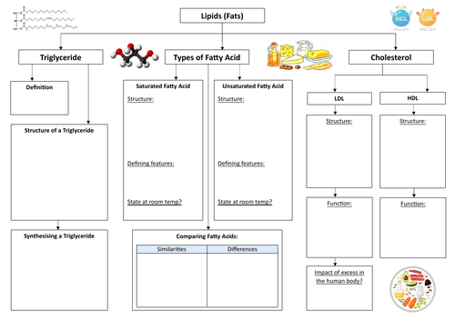 Lipids Summary Sheet - Edexcel A SNAB Biology; Topic 1 (AS) | Teaching ...