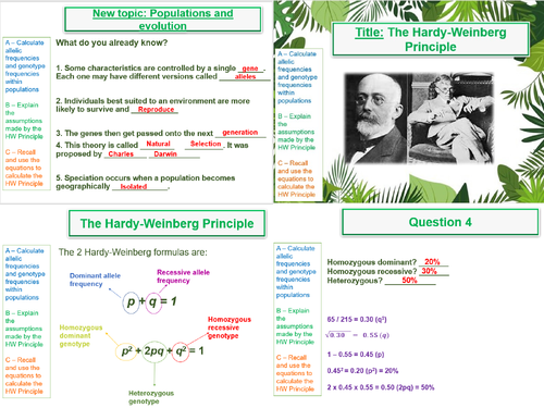 AQA A Level Biology (A2) - 18. Populations and Evolution - Topic bundle ...