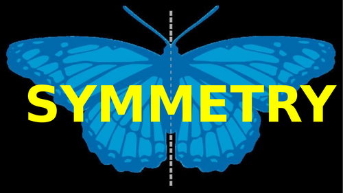 Symmetry Powerpoint Presentation (PPT)/ 4 Lesson/ 100 Slides | Teaching Resources