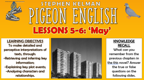 Pigeon English - Lessons 5 and 6 - 'May' | Teaching Resources