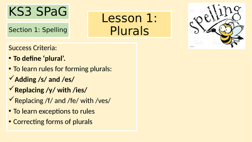 Key Stage 3 SPaG Plurals Lesson 1 | Teaching Resources