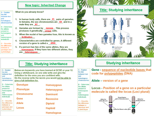 Studying Inheritance - AQA A Level Biology (A2) -17. Inherited Change ... Studying Inheritance - AQA A Level Biology (A2) -17. Inherited Change ...