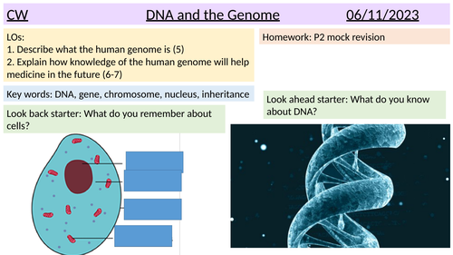 DNA and the genome GCSE BIO | Teaching Resources