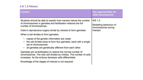 Meiosis | Teaching Resources