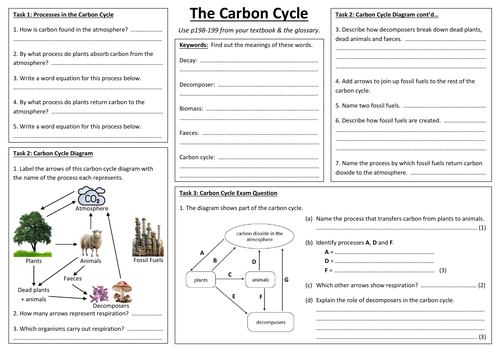 SB9k - Carbon Cycle summary sheet (Edexcel Single Biology GCSE ...