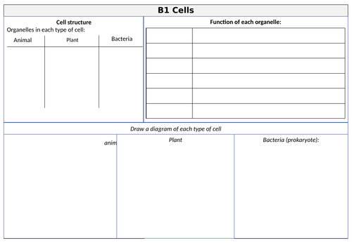 AQA B1 Cell structure revision mat | Teaching Resources AQA B1 Cell structure revision mat | Teaching Resources