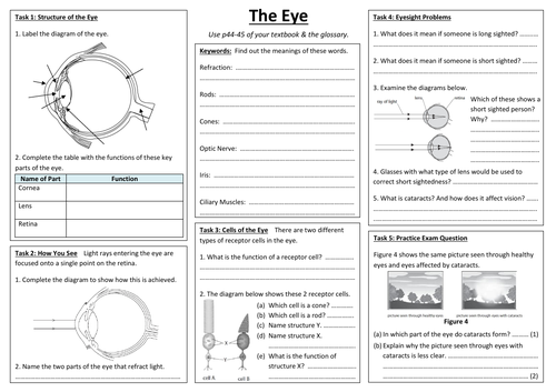 SB2h - The Eye summary sheet (Edexcel Single Biology GCSE) | Teaching ...