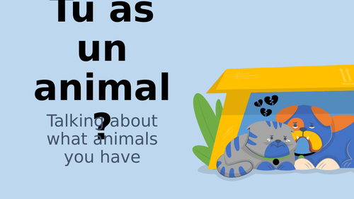 Access studio: Tu as un animal? | Teaching Resources