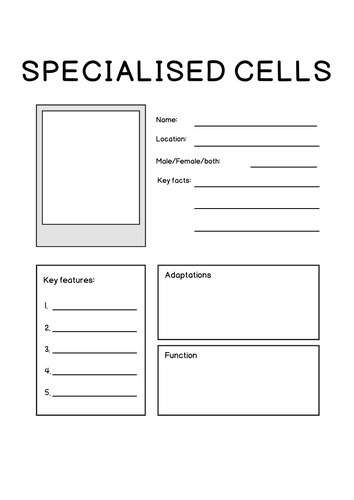 Specialised cells fact file | Teaching Resources