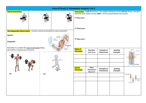 GCSE Area 3 Movement Analysis Recall Sheet and Answers | Teaching Resources
