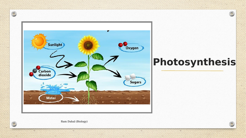 Photosynthesis | Teaching Resources