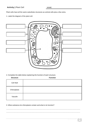 Plant Cell Worksheets | Teaching Resources