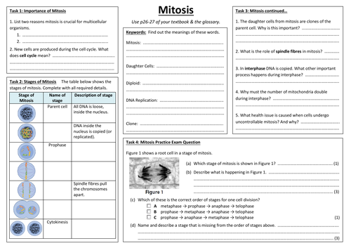 CB2a - Mitosis summary sheet (Edexcel Combined Biology GCSE) | Teaching ...