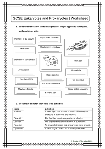 GCSE Biology - Eukaryotes and Prokaryotes Activity Worksheet | Teaching ...