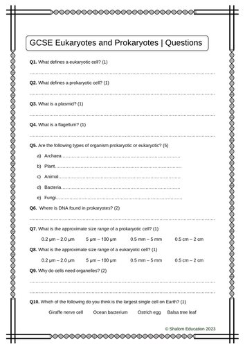 Gcse Biology Eukaryotes And Prokaryotes Practice Questions Teaching Resources 