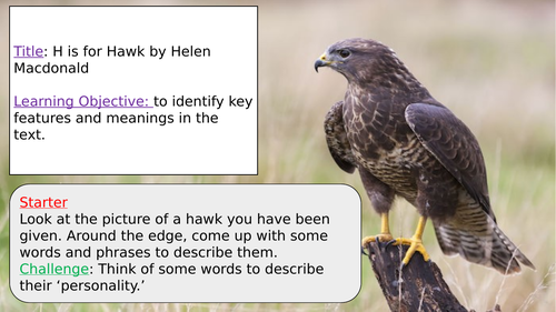 H is for Hawk | Teaching Resources