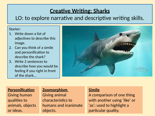 Just Write Sharks | Teaching Resources