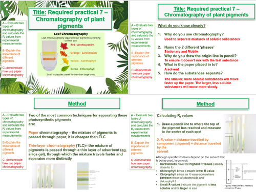 Investigating plant pigments (chlorophyll chromatography) - AQA A Level Biology- 11 ...