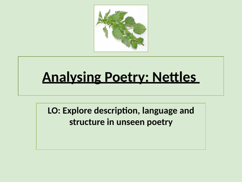 Nettles | Teaching Resources