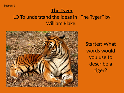 The Tyger William Blake | Teaching Resources