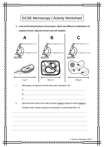 GCSE Biology - Microscopy Activity Worksheet | Teaching Resources