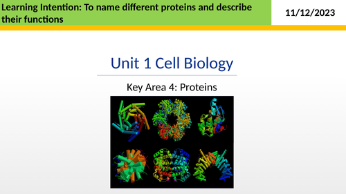 Nat 5 Biology Unit 1 Key Area 4 Proteins Lesson 1 | Teaching Resources
