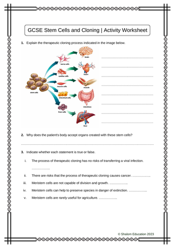 GCSE Biology - Stem Cells and Cloning Activity Worksheet | Teaching ...