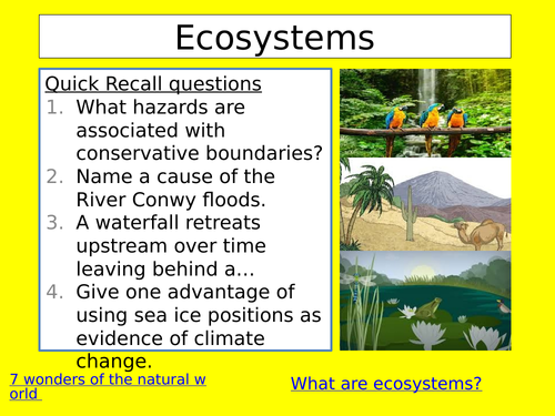 Ecosystems, nutrient cycles and food webs | Teaching Resources