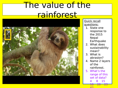 The value of the rainforest | Teaching Resources