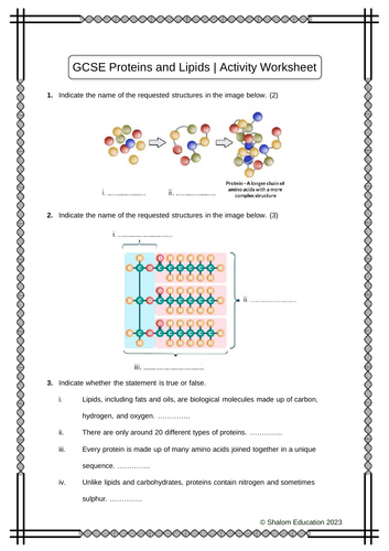 GCSE Biology - Proteins and Lipids Activity Worksheet | Teaching Resources