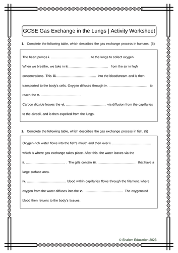 GCSE Biology - Gas Exchange in the Lungs Activity Worksheet | Teaching ...