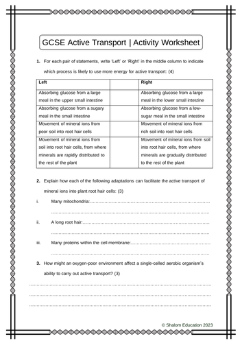 GCSE Biology - Active Transport Activity Worksheet | Teaching Resources
